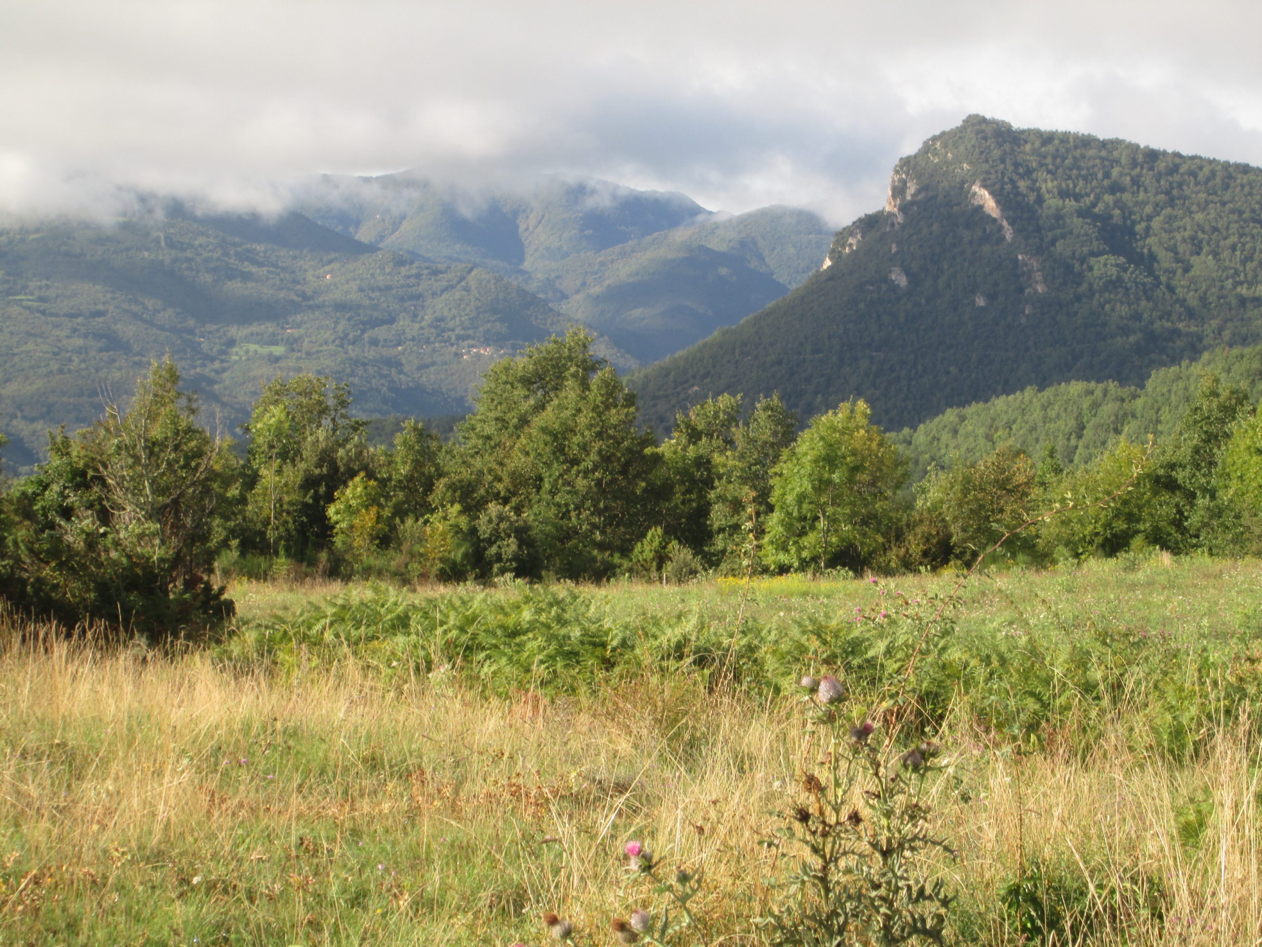La route la plus au Sud de France, version Cyclo-sport - Sud Canigó